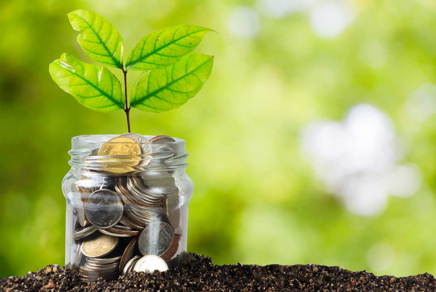 Financial Planning For Individuals Families Financial Planning For Individuals Families
